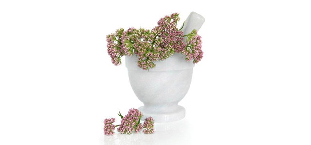 Pri nespečnosti in nervozi lahko pomagajo tudi rastlinski izvečki - Med ...